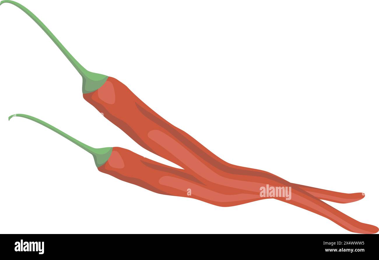 Vector chili illustration isolated in cartoon style. Herbs and Species ...