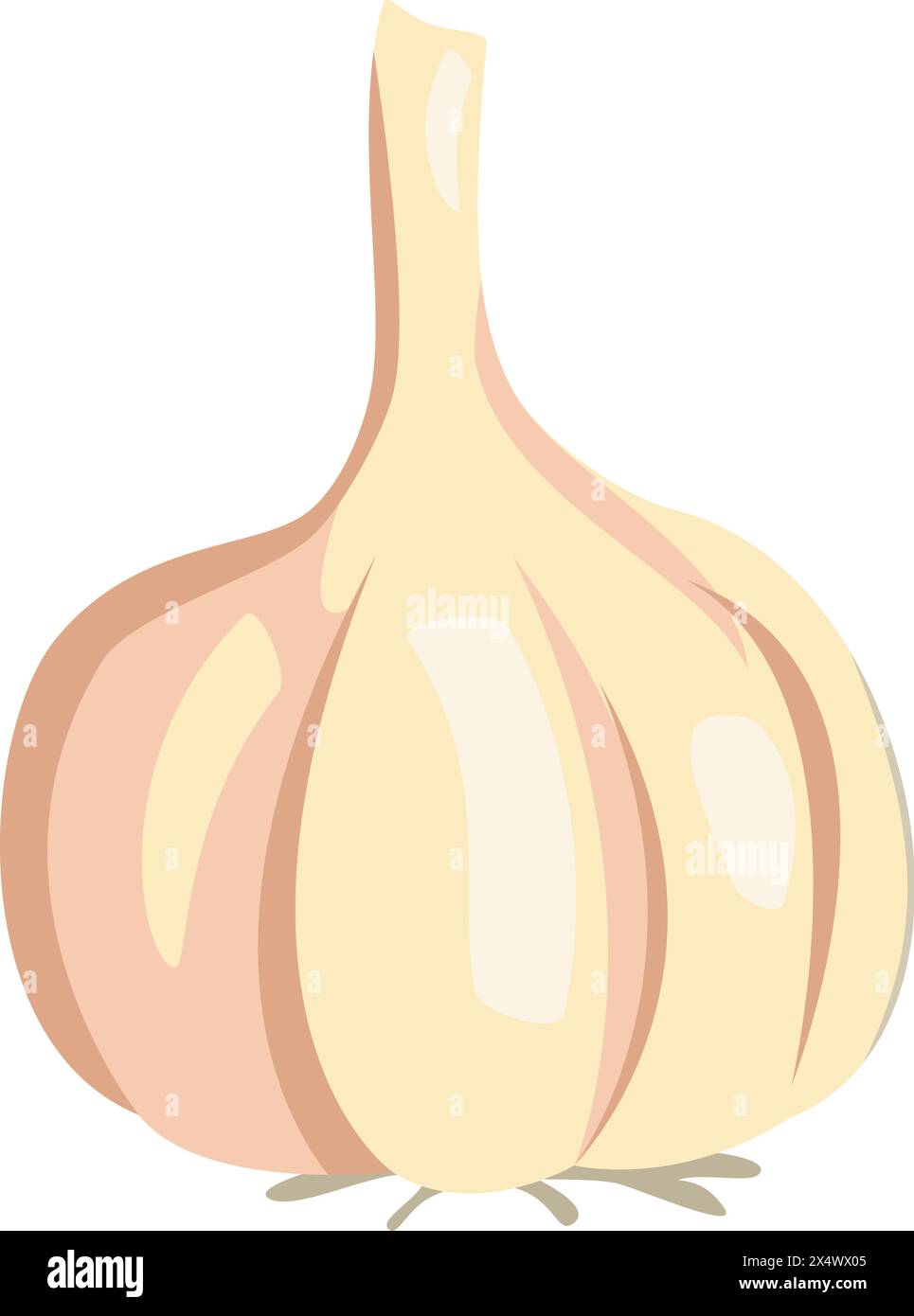 Vector garlic illustration isolated in cartoon style. Herbs and Species ...