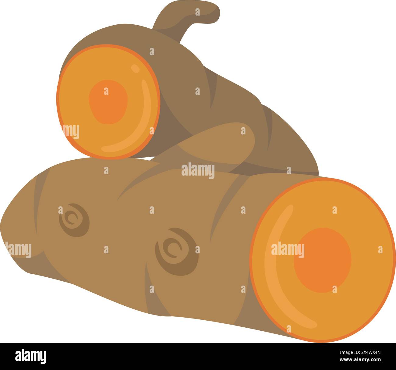 Vector turmeric illustration isolated in cartoon style. Herbs and ...
