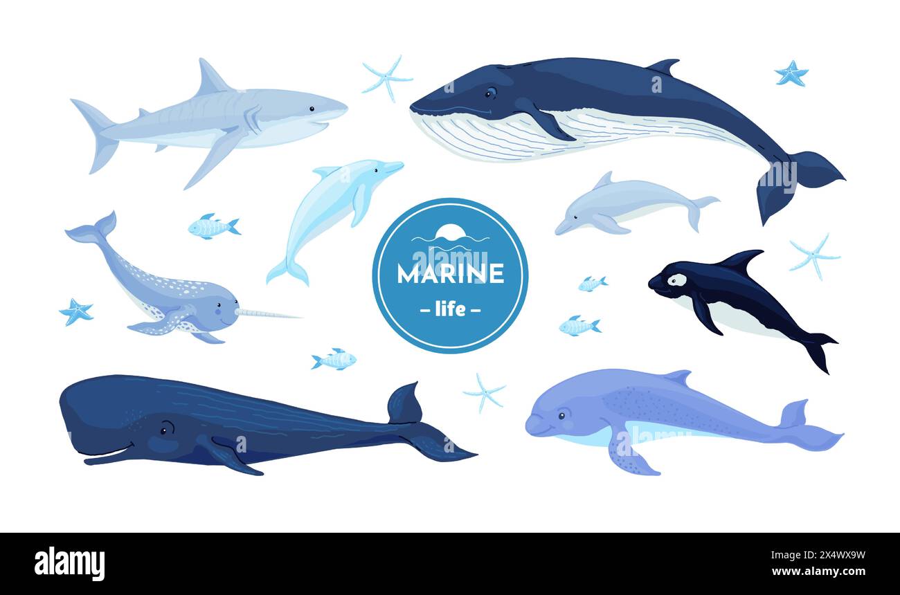 Blue whales. Dolphin, shark and narwhal underwater fish, Nordic marine ...
