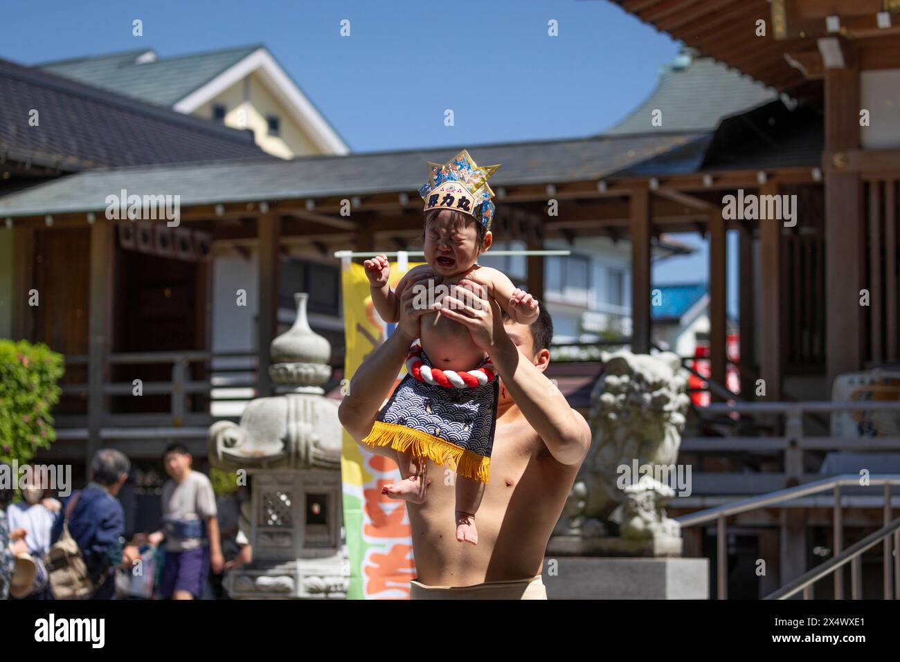Crying baby is being lifted in the air by a sumo wrestler during ...