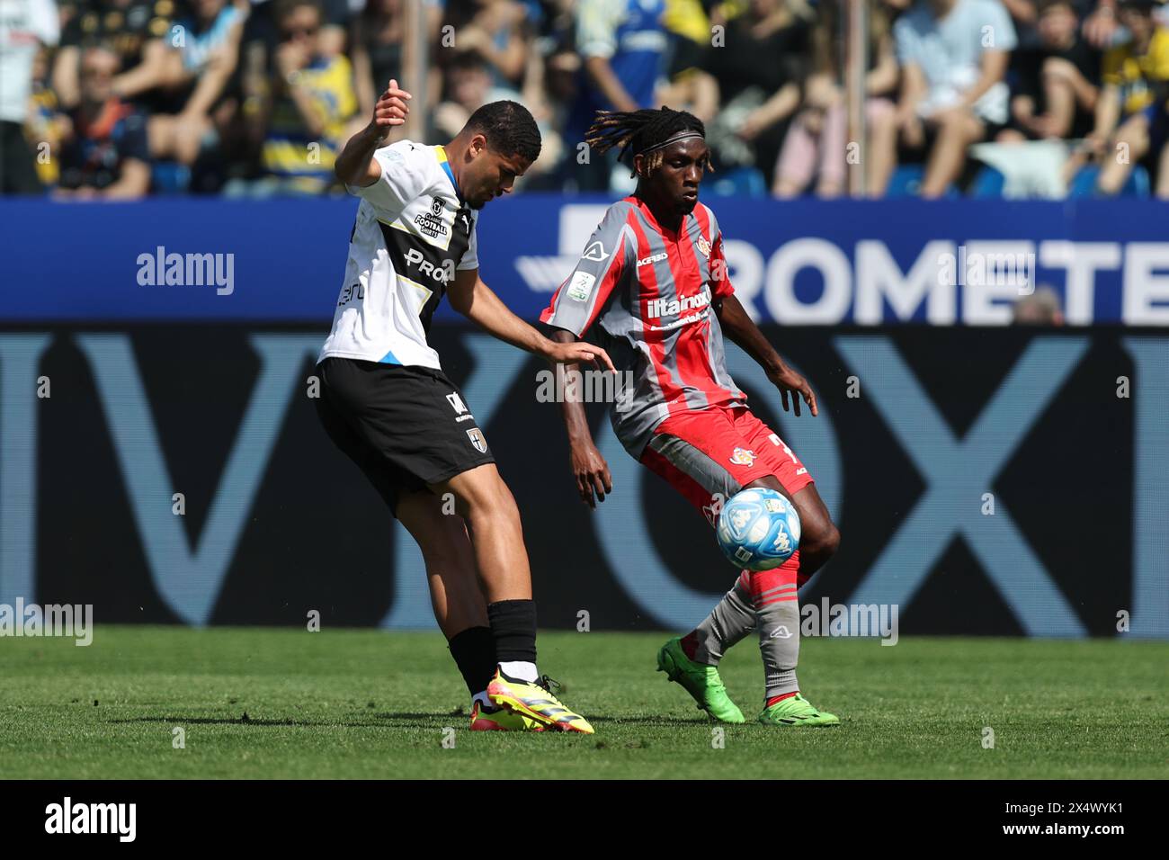 Cremonese simon hi-res stock photography and images - Alamy