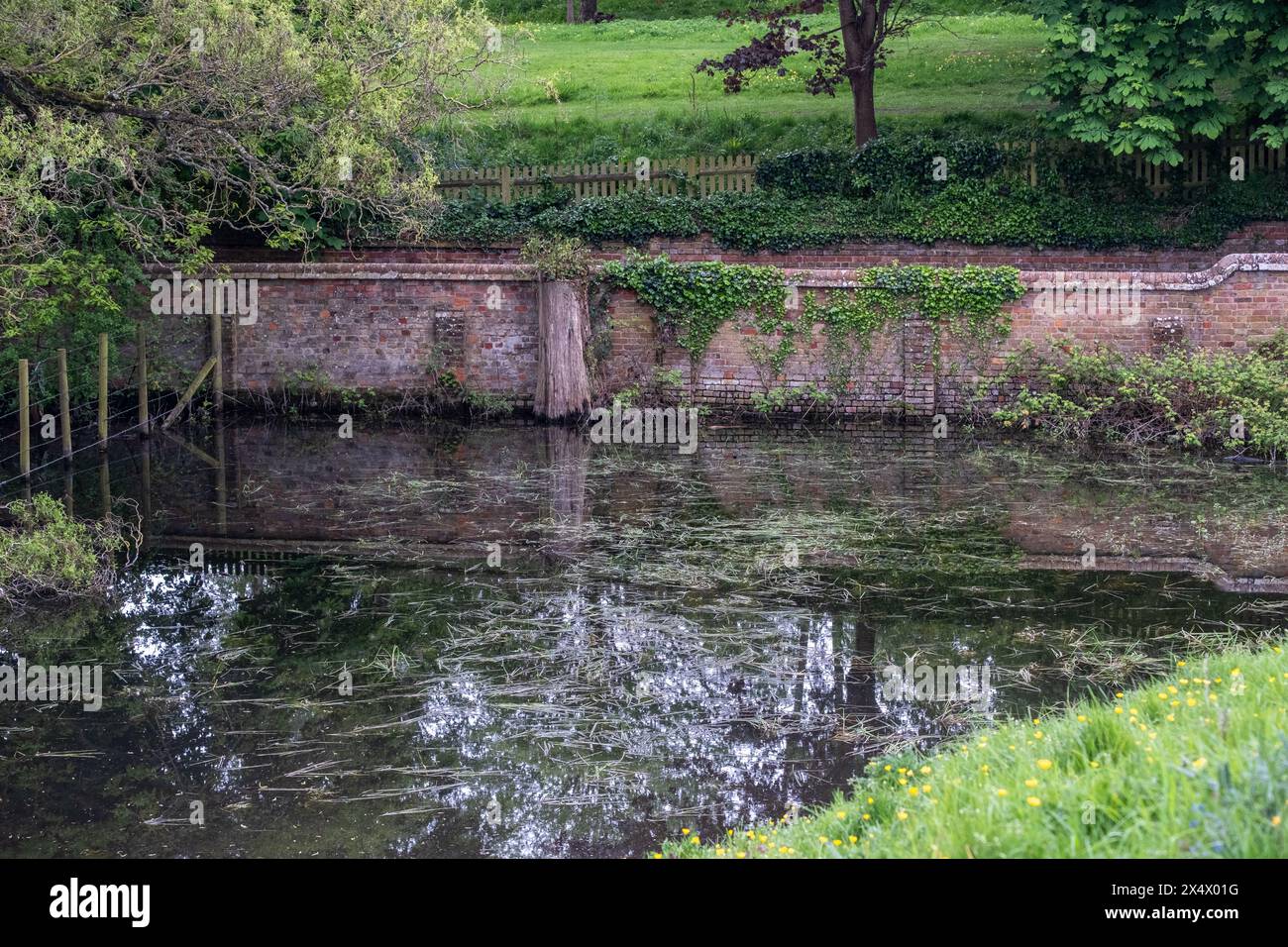 Castle Meadows, moat flooding - Wallingford, Oxfordshire Stock Photo ...