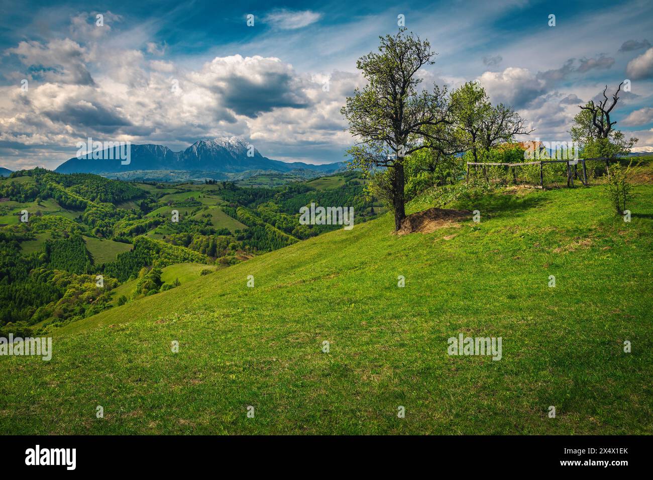 Stunning summer rural scenery and old farmhouse on the slope with ...