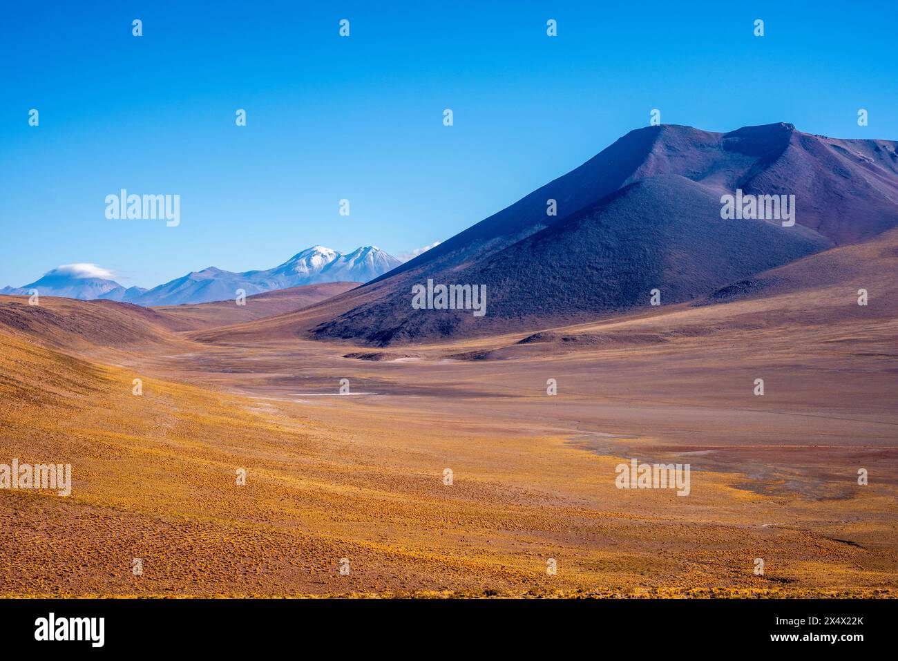 Typical Chilean Altiplano Landscape Near San Pedro de Atacama, Chile ...