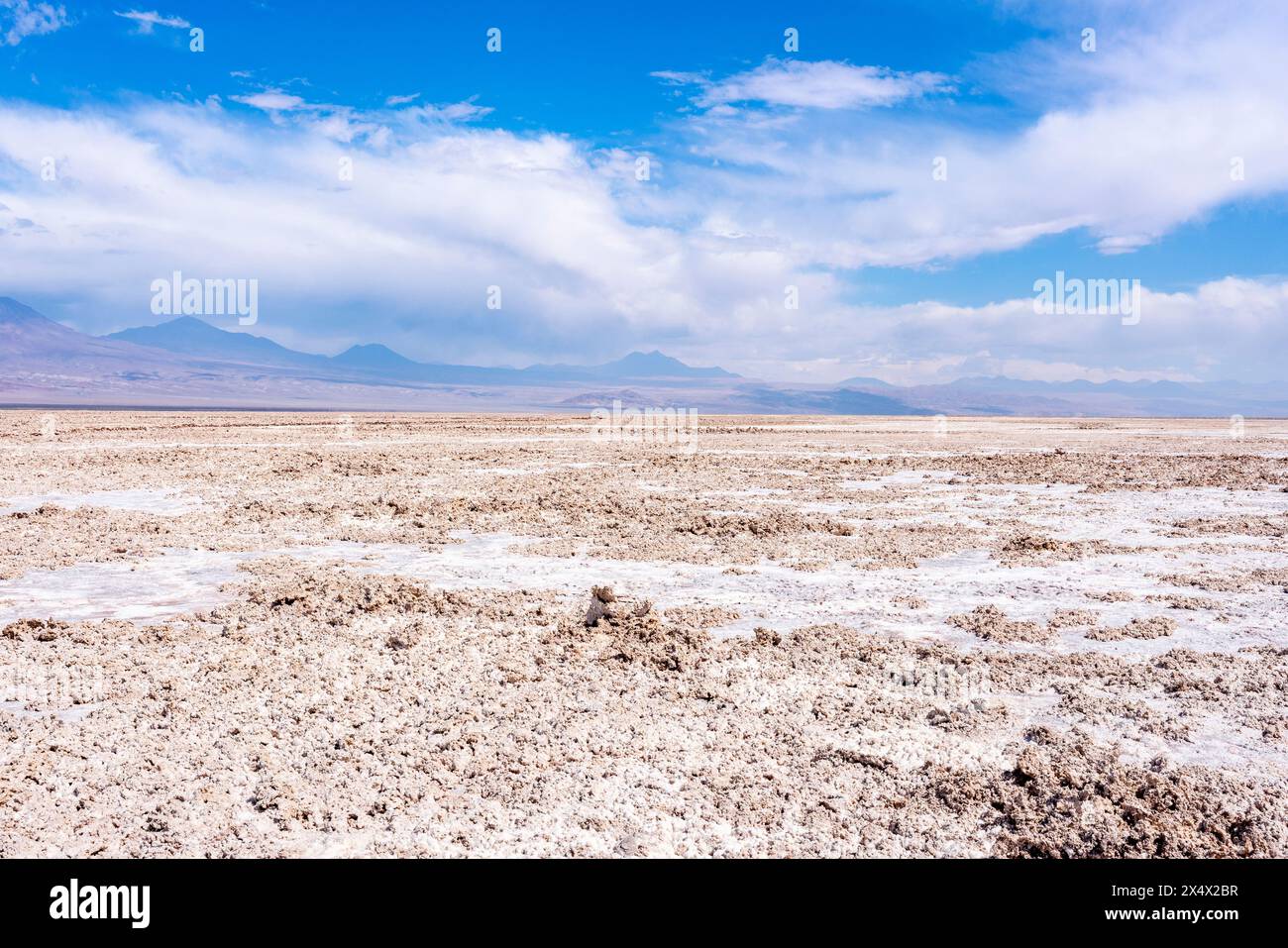Salt Crusts At The Laguna Chaxa (Chaxa Lagoon), San Pedro de Atacama ...