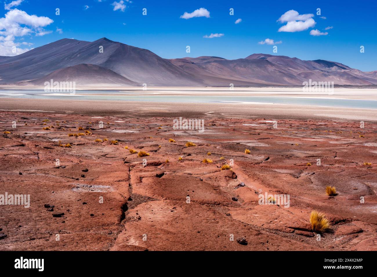 The Piedras Rojas (Red Stones), Near San Pedro de Atacama, Chile Stock ...