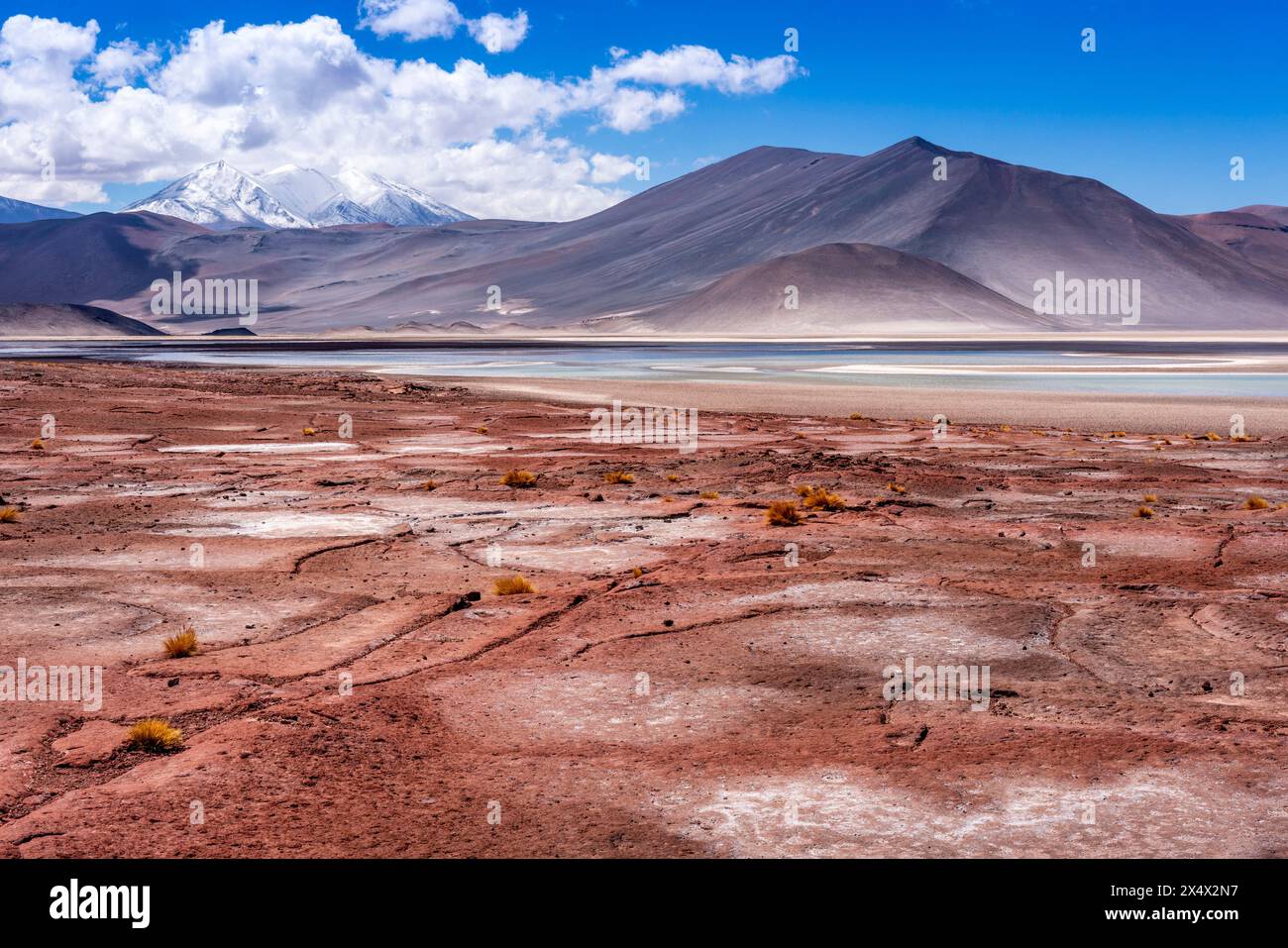 The Piedras Rojas (Red Stones), Near San Pedro de Atacama, Chile Stock ...