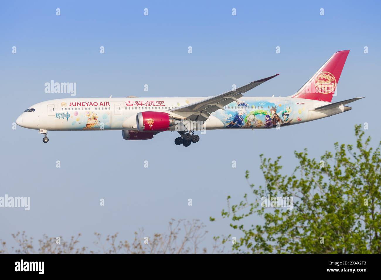 First aircraft Boeing 787 from Juneyao Air (Genshin Livery) at Shanghai ...