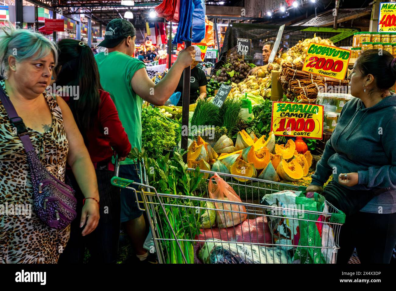 Local People Buying Fruit and Vegetables At La Vega Central Market ...