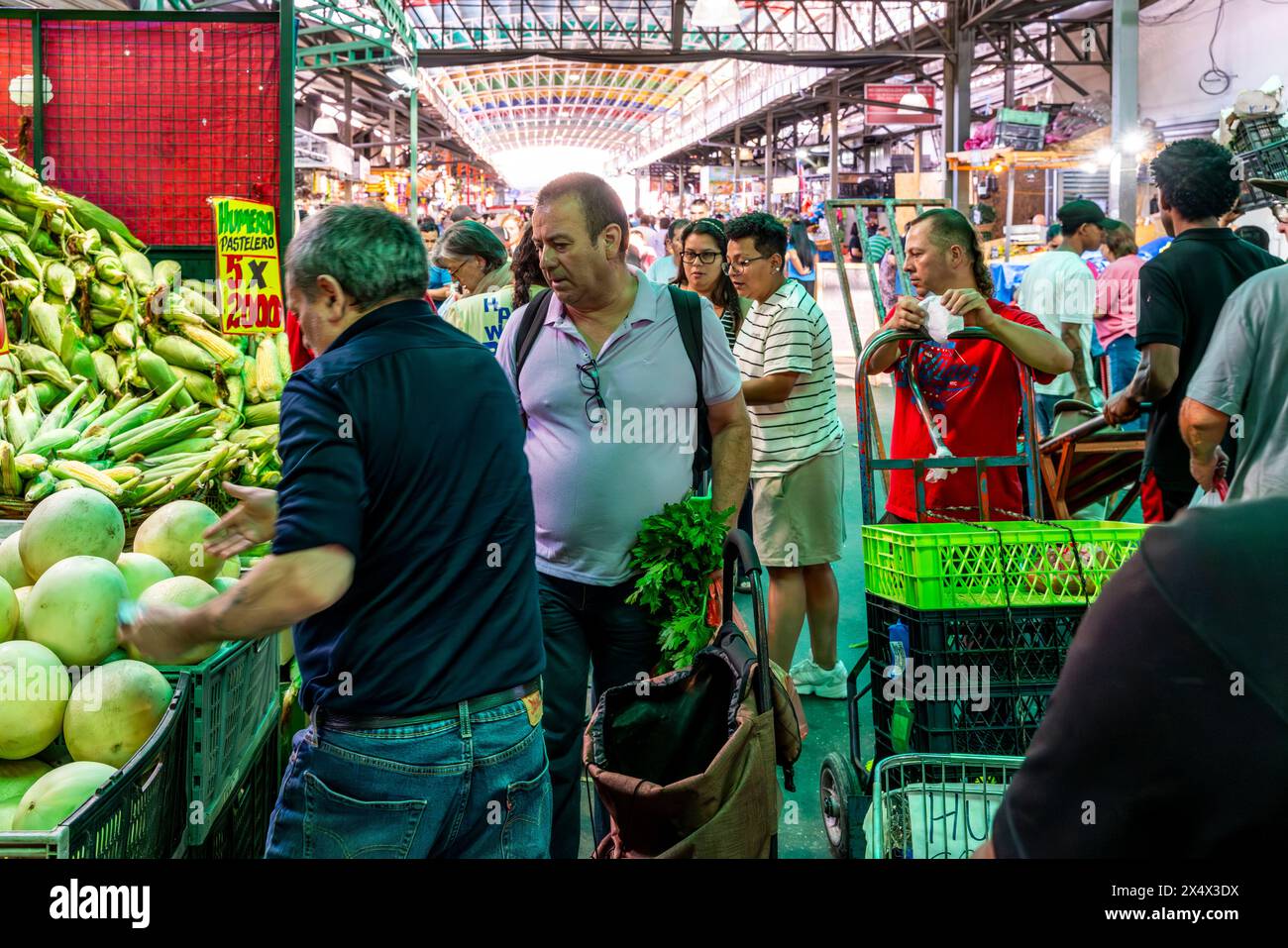 Local People Buying Fruit and Vegetables At La Vega Central Market ...