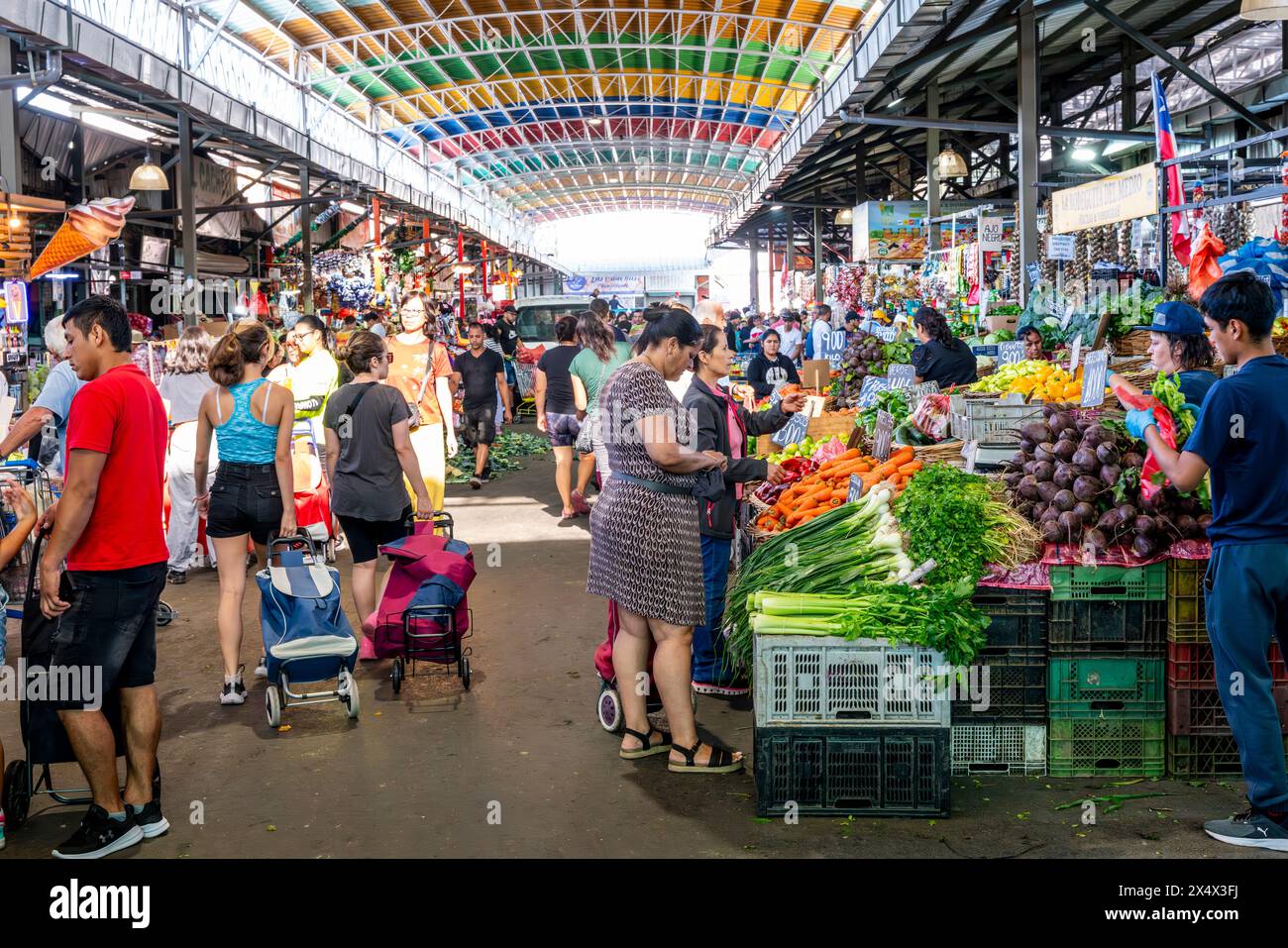Local People Buying Fruit and Vegetables At La Vega Central Market ...