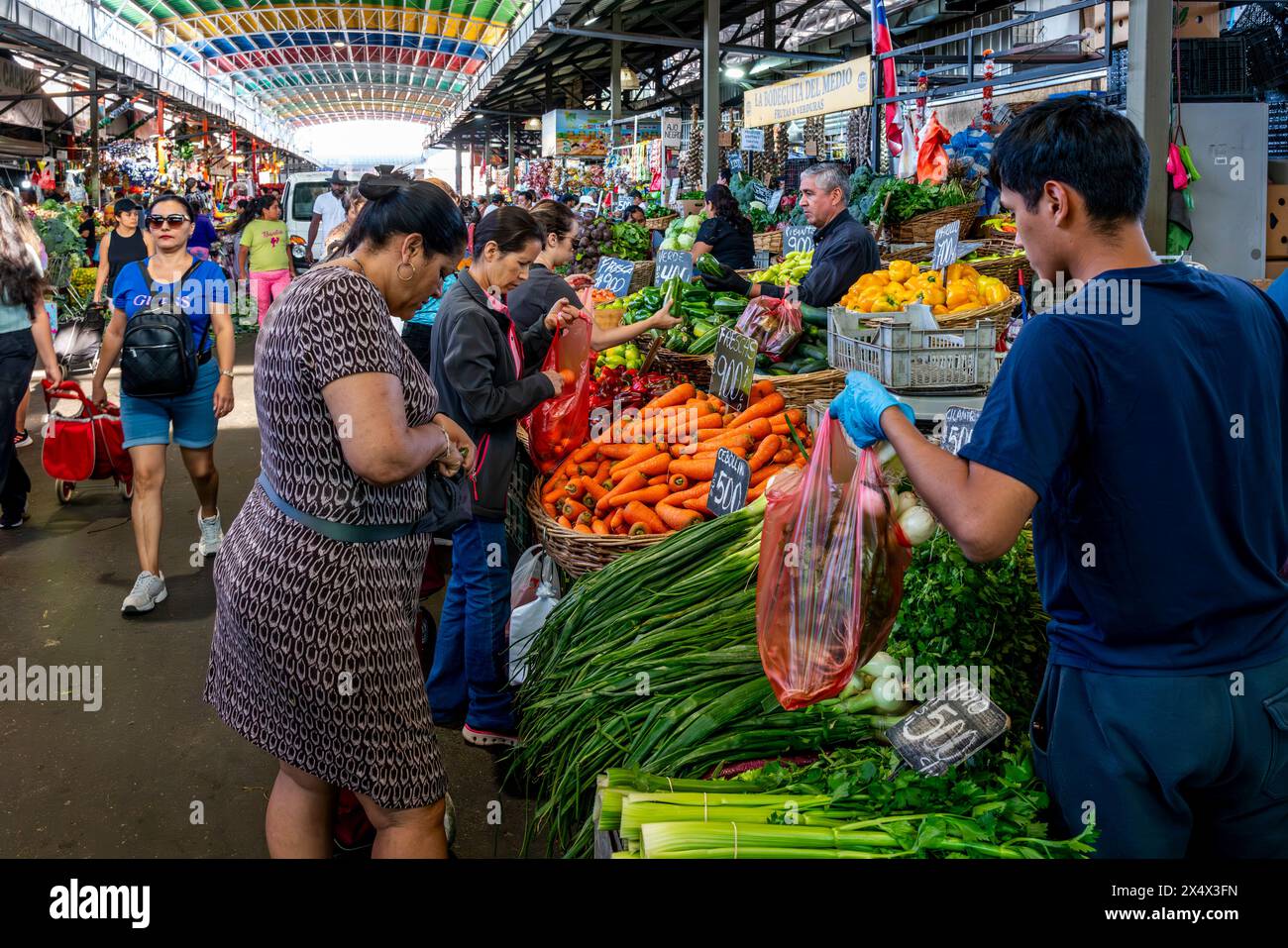 Local People Buying Fruit and Vegetables At La Vega Central Market ...