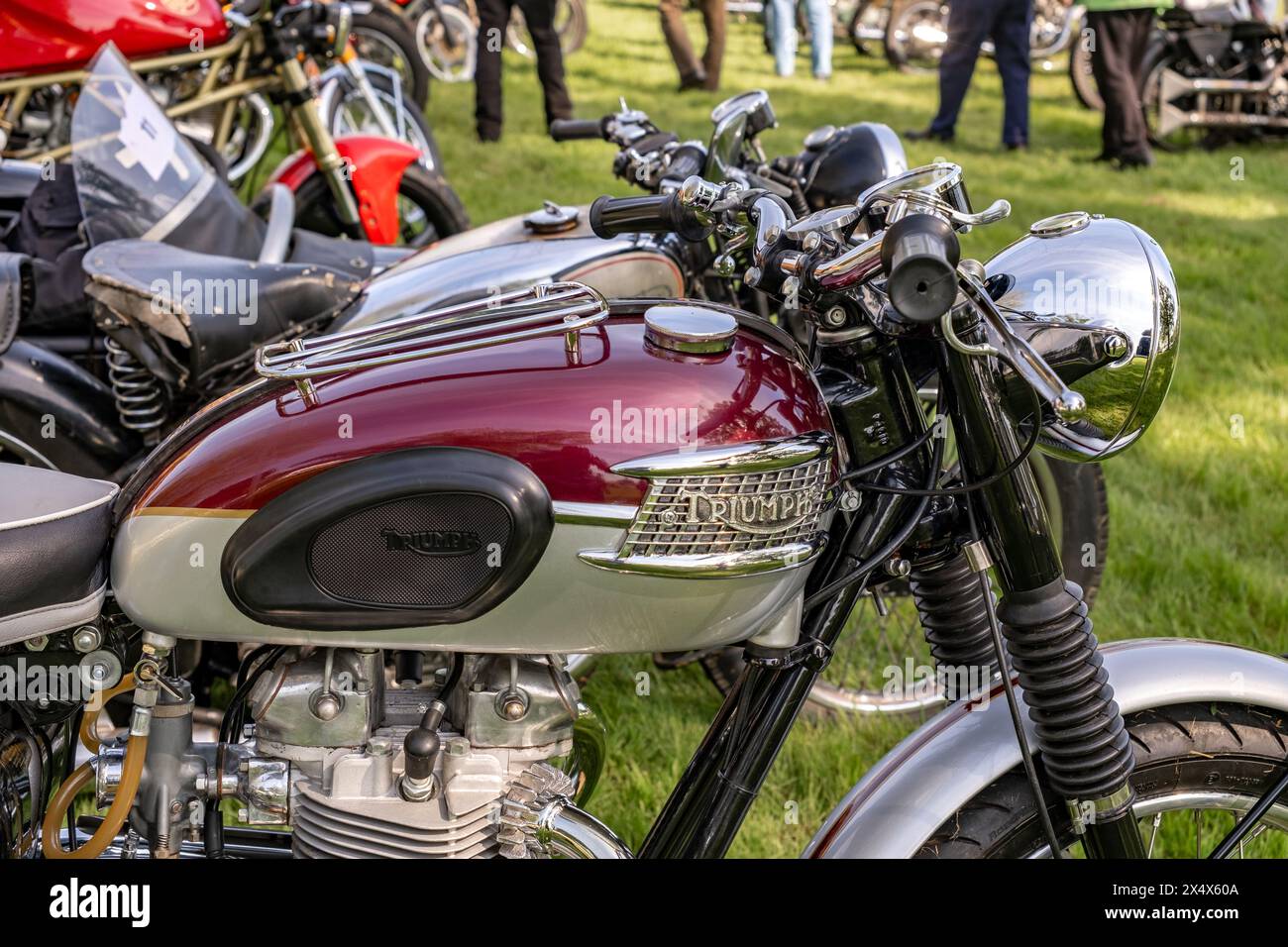 Classic Triumph Bonneville motorcycle Stock Photo - Alamy