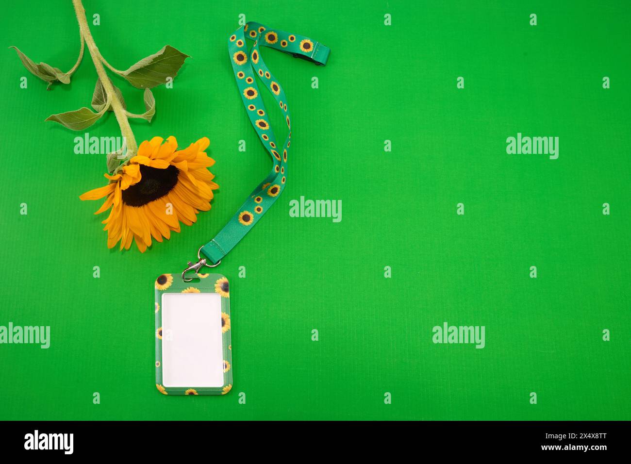 Sunflower lanyard, symbol of people with invisible or hidden ...