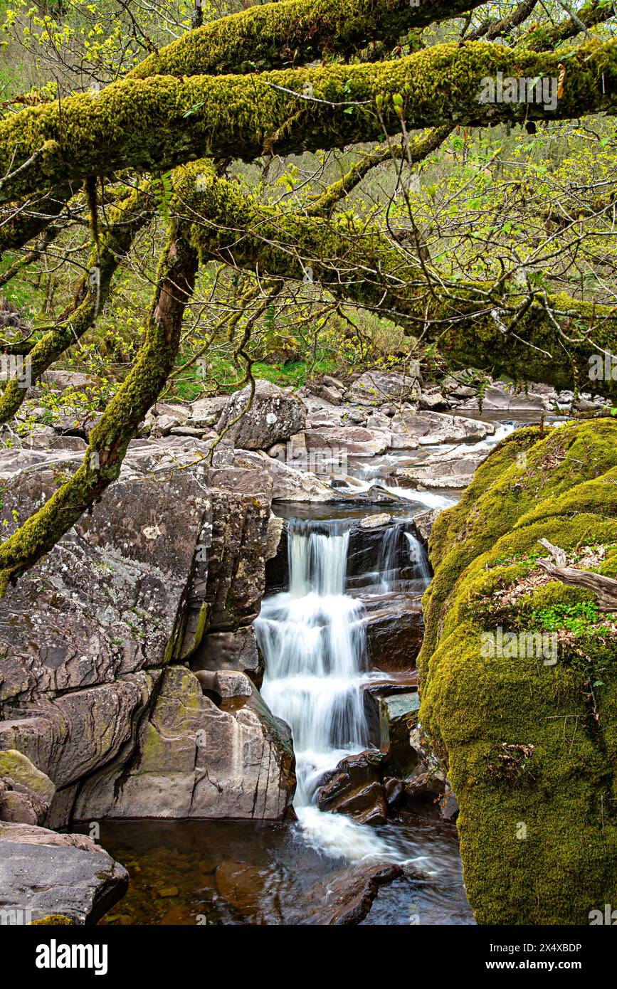 Landscape photograph of Bracklinn waterfall; callander, scotland ...