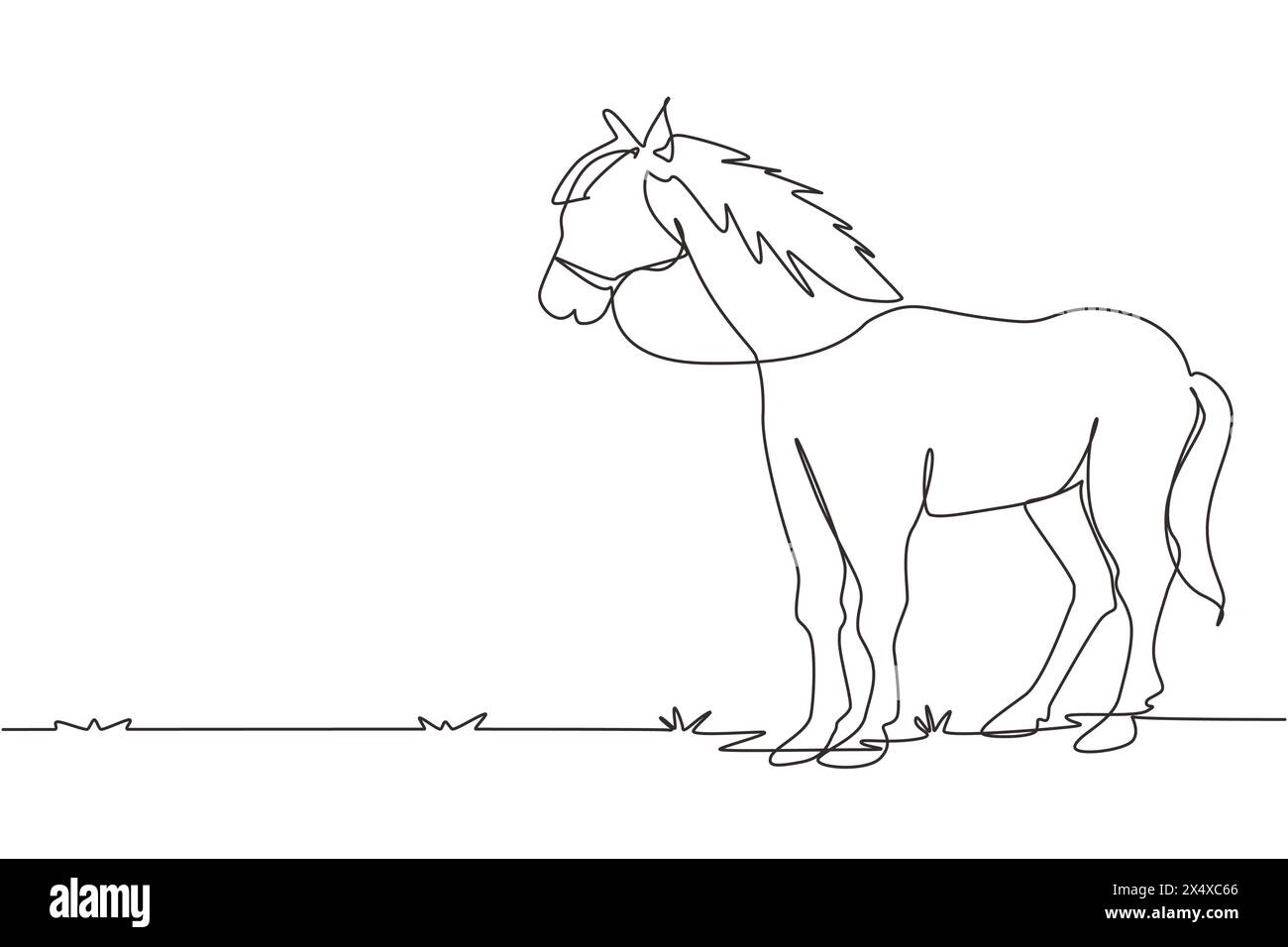 Continuous one line drawing horse standing still not moving watching ...
