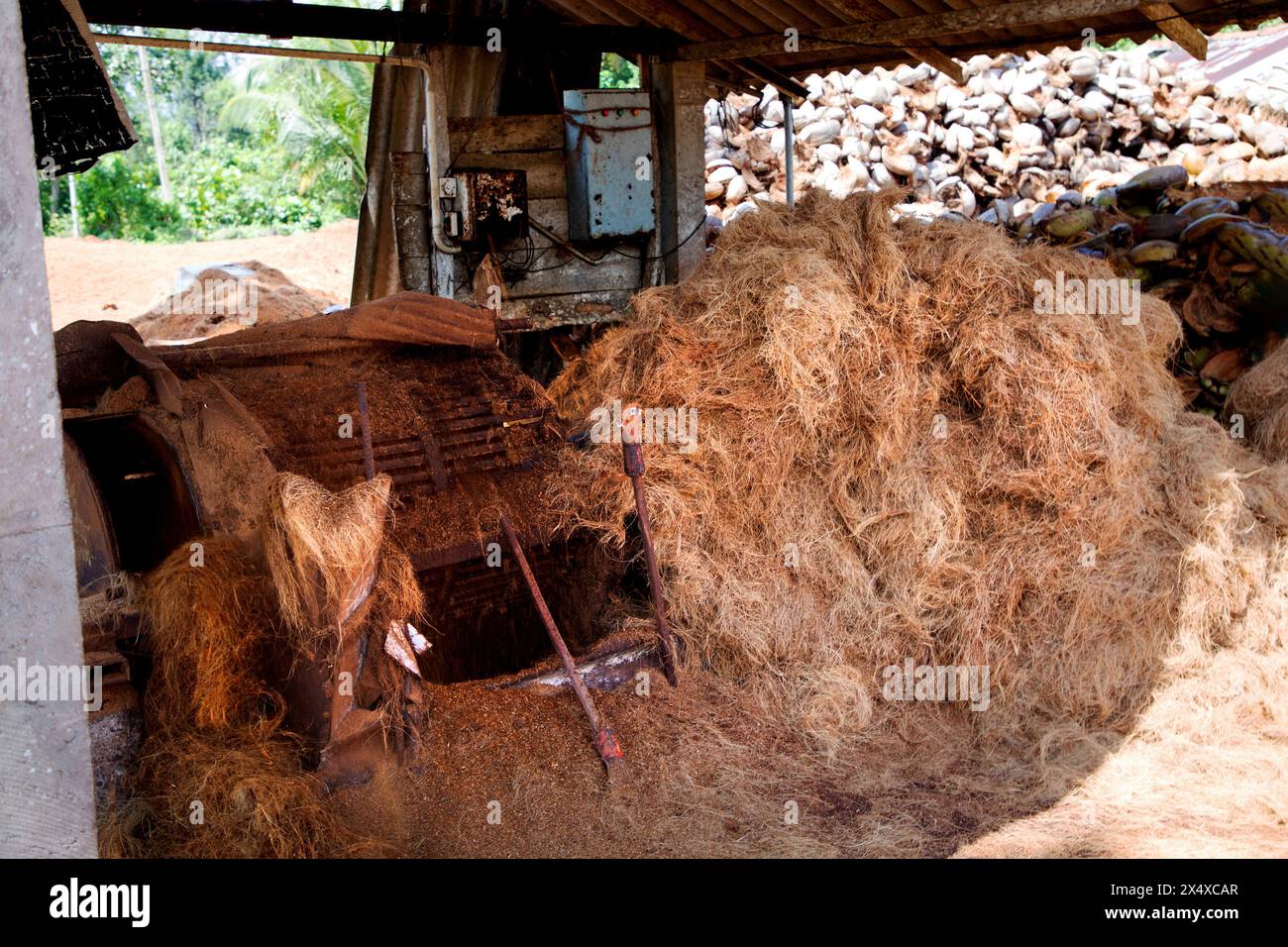 Kalutara, Sri Lanka 09 february 2023.coconut coir rope making with ...