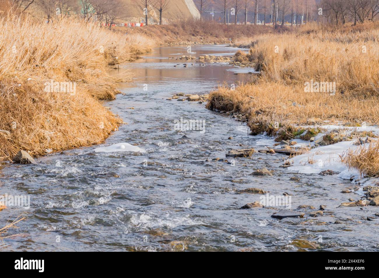 Partial ice cover on a tranquil river with clear skies and forest ...