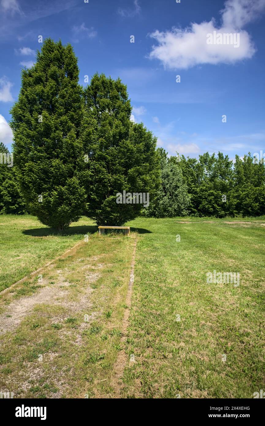 Bench under two trees at the end of a path in a park in the italian ...