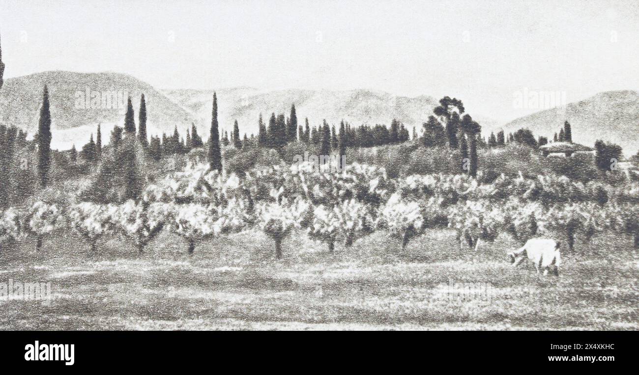 The plain of Messenia in Greece. Photos from the first half of the 20th ...