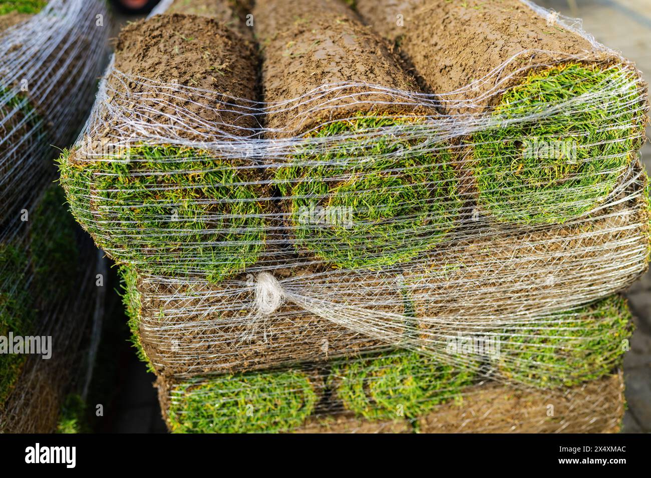 Layers of sod hi-res stock photography and images - Alamy