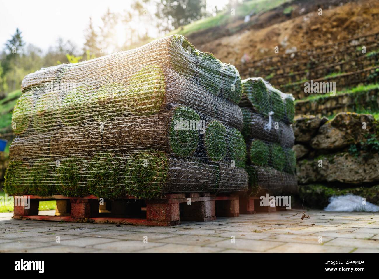 Pallets of rolled sod secured with mesh in a sunlit outdoor setting ...