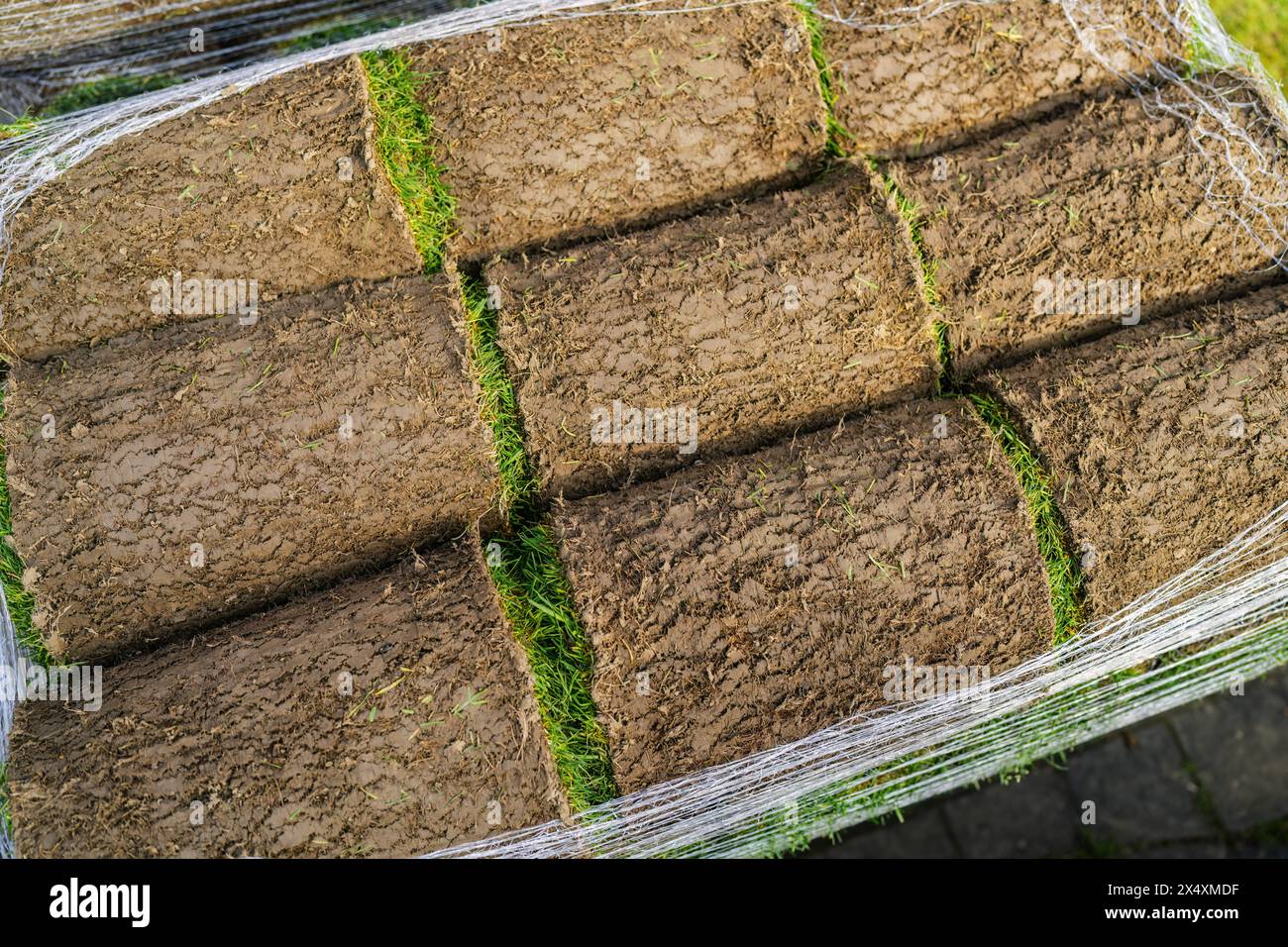 Top view of tightly rolled sod secured with mesh, showcasing layers of ...