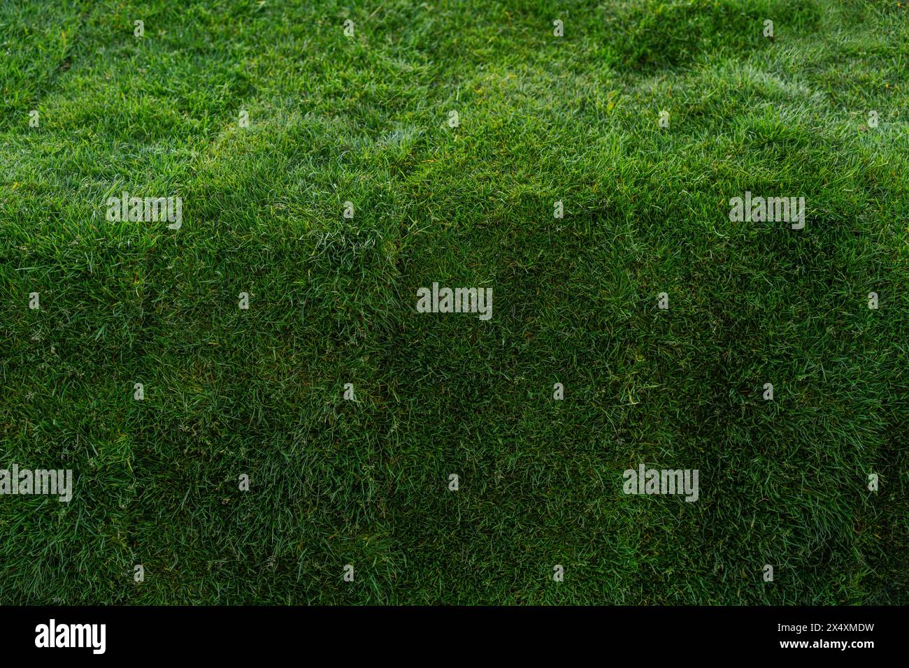 Sloped terrain hi-res stock photography and images - Alamy