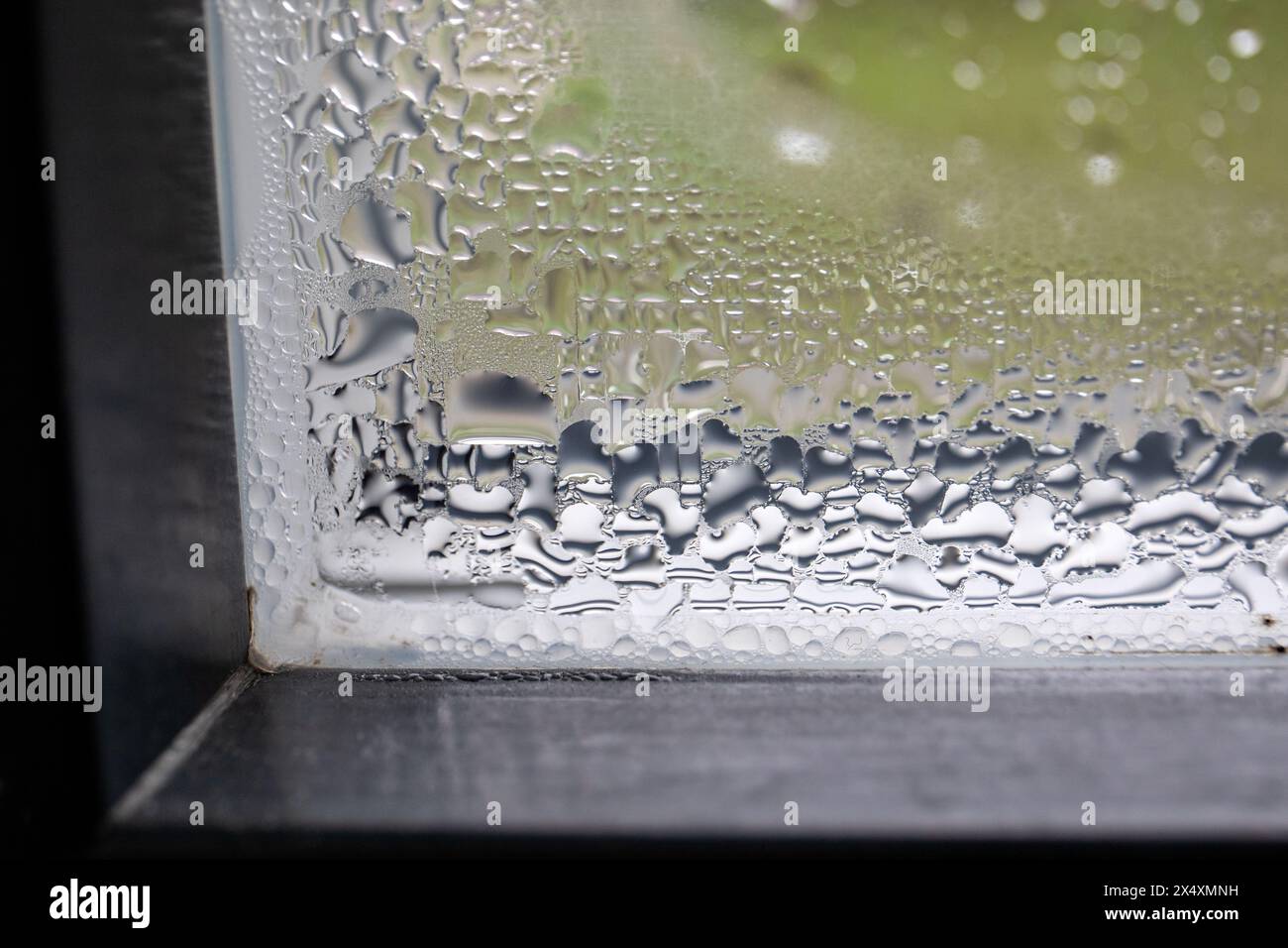 Condensation on window, mold from wet, house concstruction and energy ...