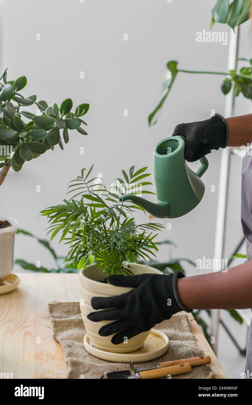 Spring hobby diversity african american woman watering plant flower pot ...