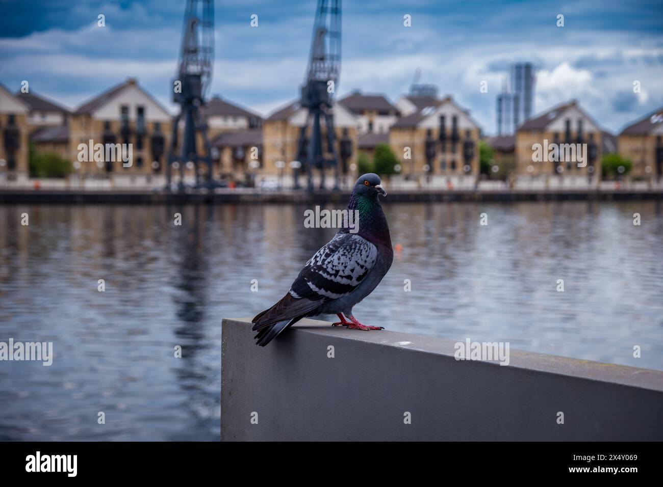 Full body speed racing hi-res stock photography and images - Alamy