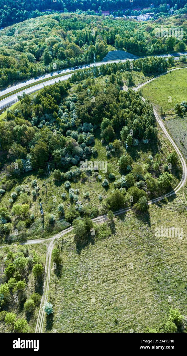 Aerial View of Road Surrounded by Trees Stock Photo - Alamy