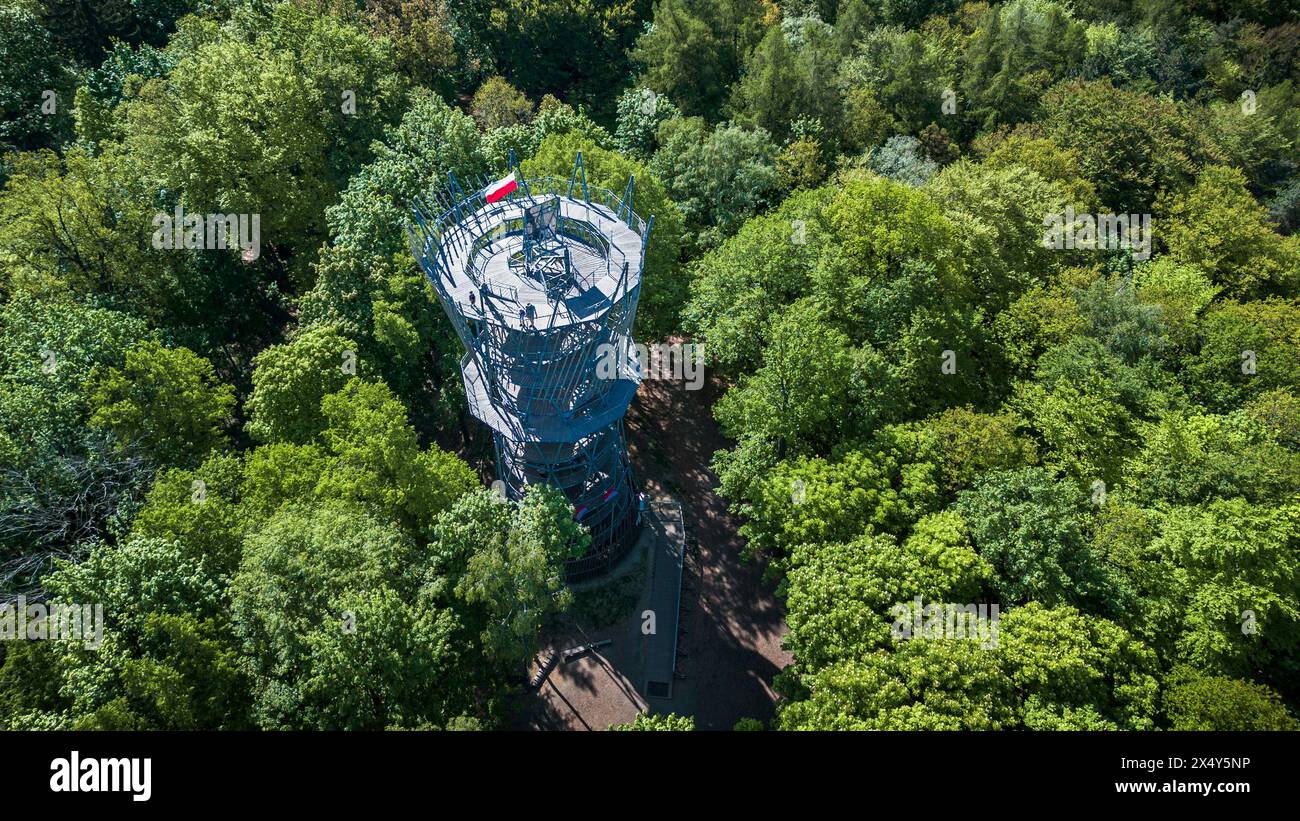 Forest canopy tower hi-res stock photography and images - Alamy