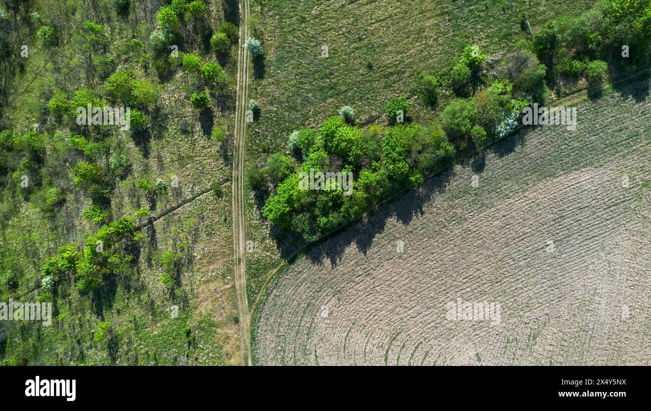 Aerial View of Field With Trees Stock Photo - Alamy