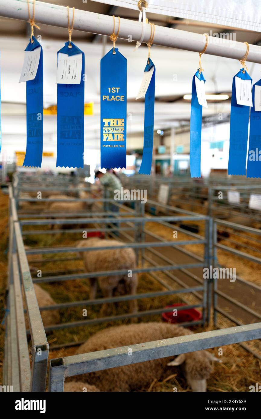 State fair competition award ribbons Stock Photo - Alamy