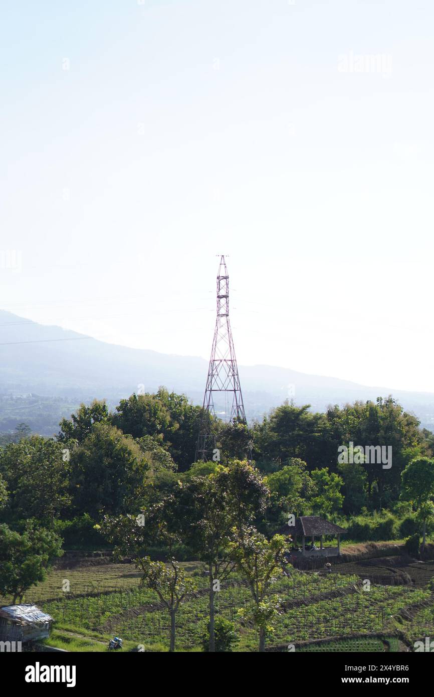 Signal booster tower in the middle of the trees with a mountain behind ...