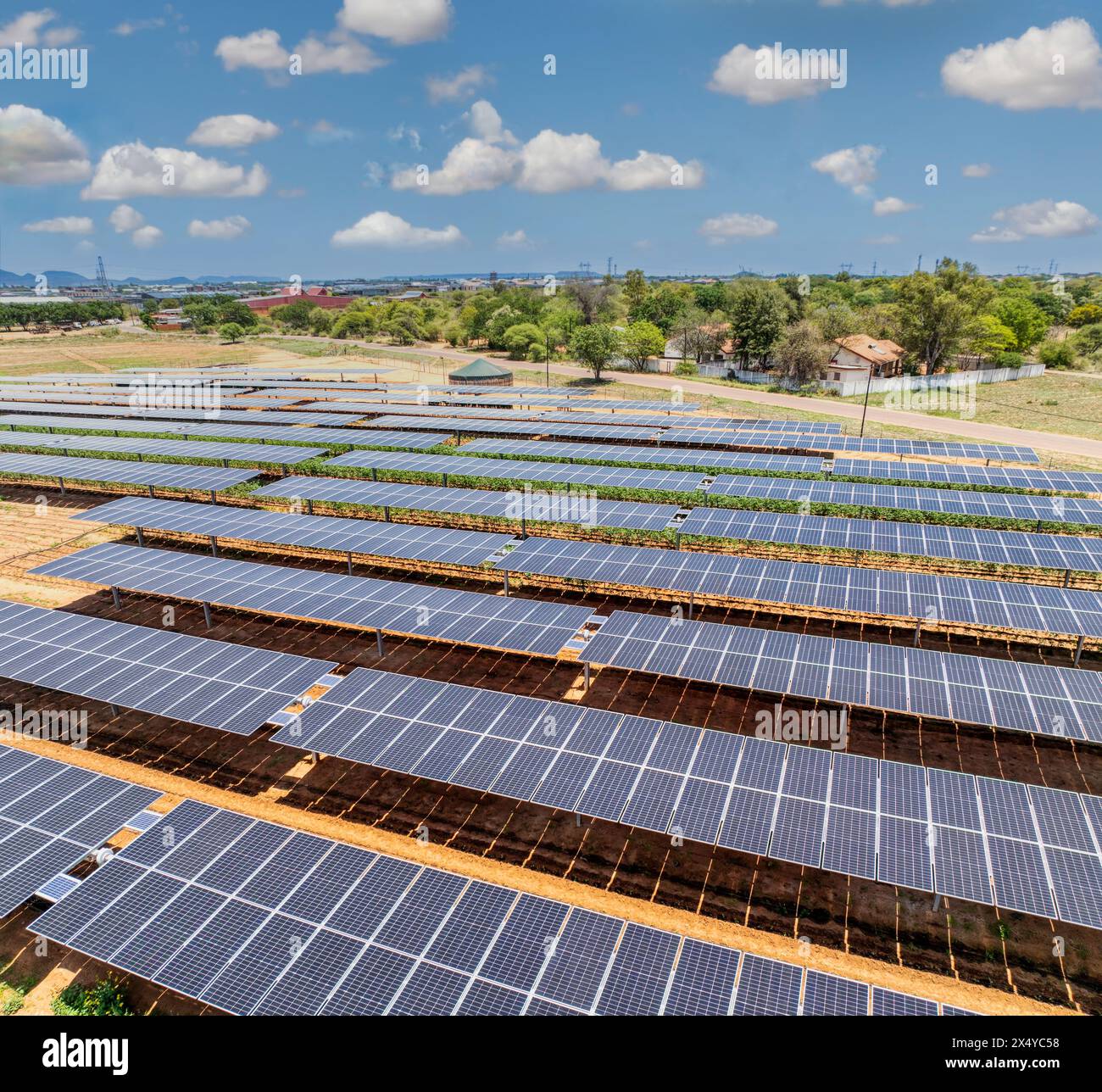 solar panels on the field of tomatoes for agriculture, developing rural ...