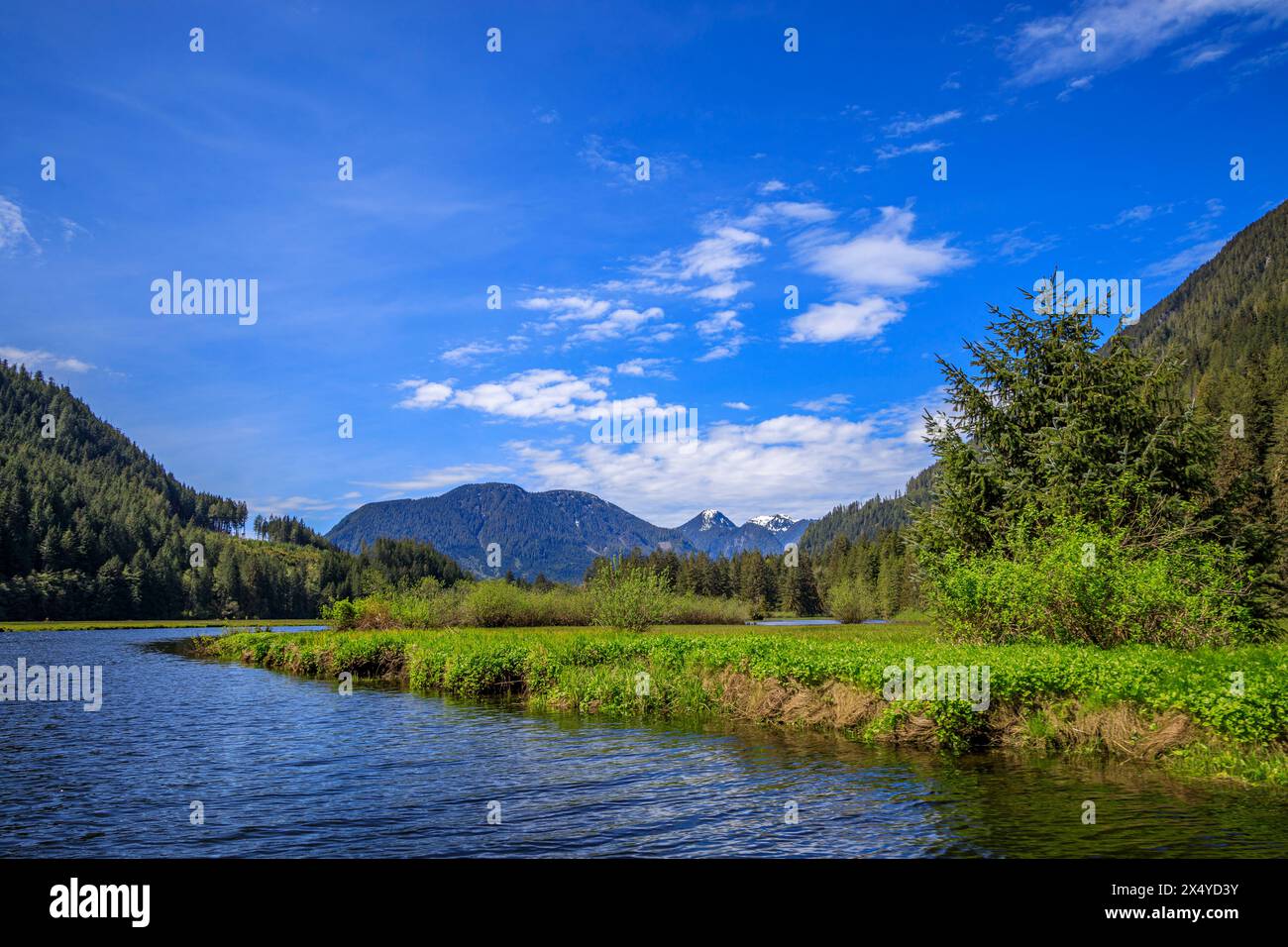 The scenic Stafford Estuary Conservancy at the head of Loughborough ...