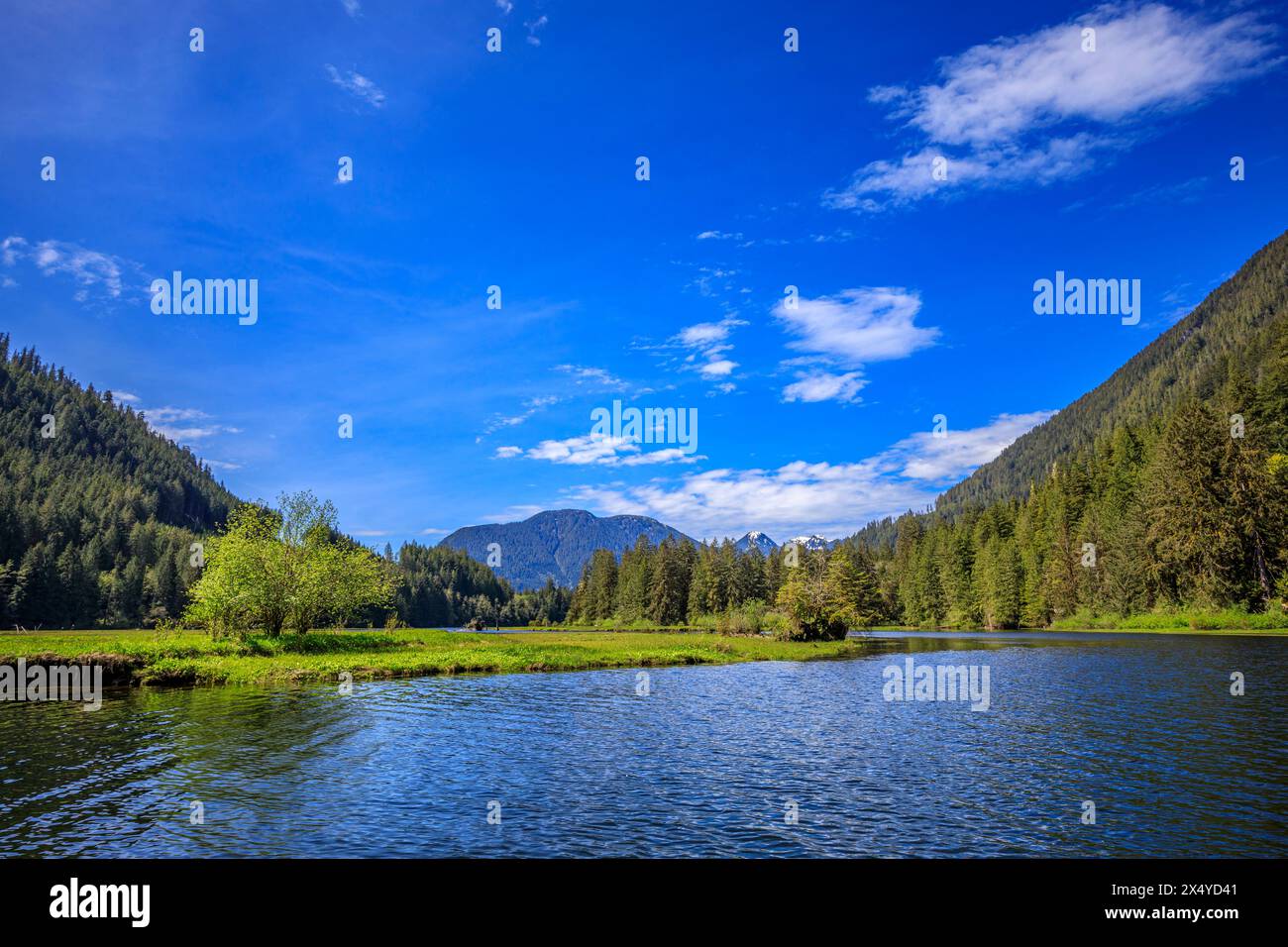 The scenic Stafford Estuary Conservancy at the head of Loughborough ...
