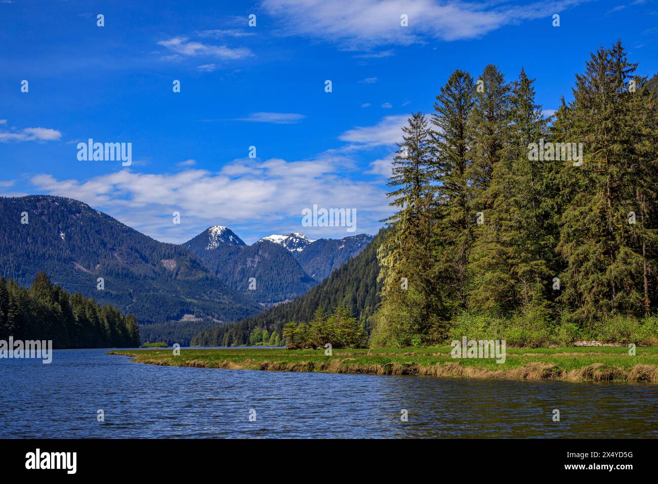 The scenic Stafford Estuary Conservancy at the head of Loughborough ...