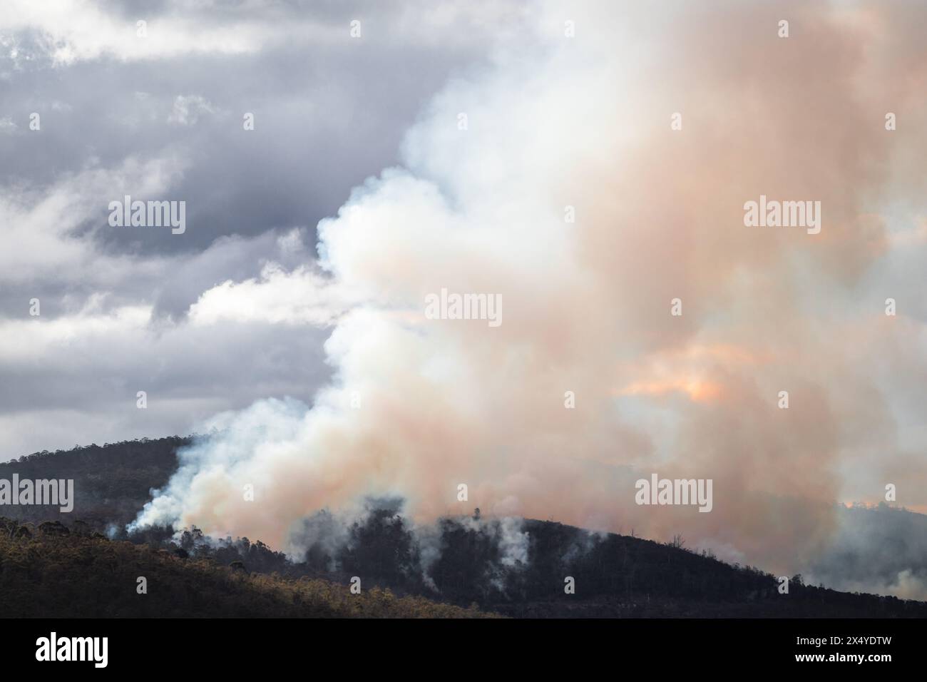 controlled burns creating thick smoke over the bush in Australia, made ...