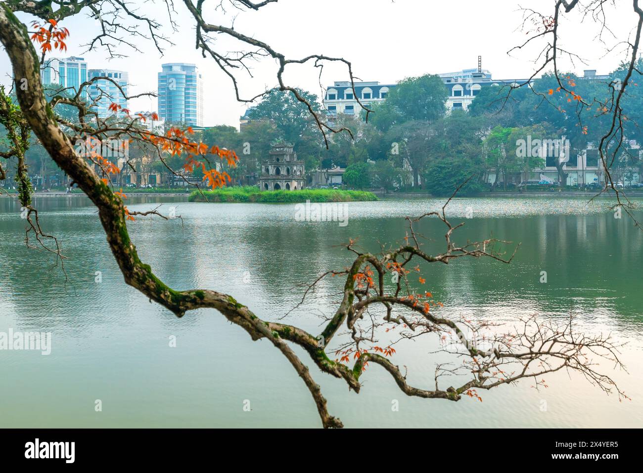 Branch of leaves with Turtle Tower on the foundation of Ho Guom Lake ...