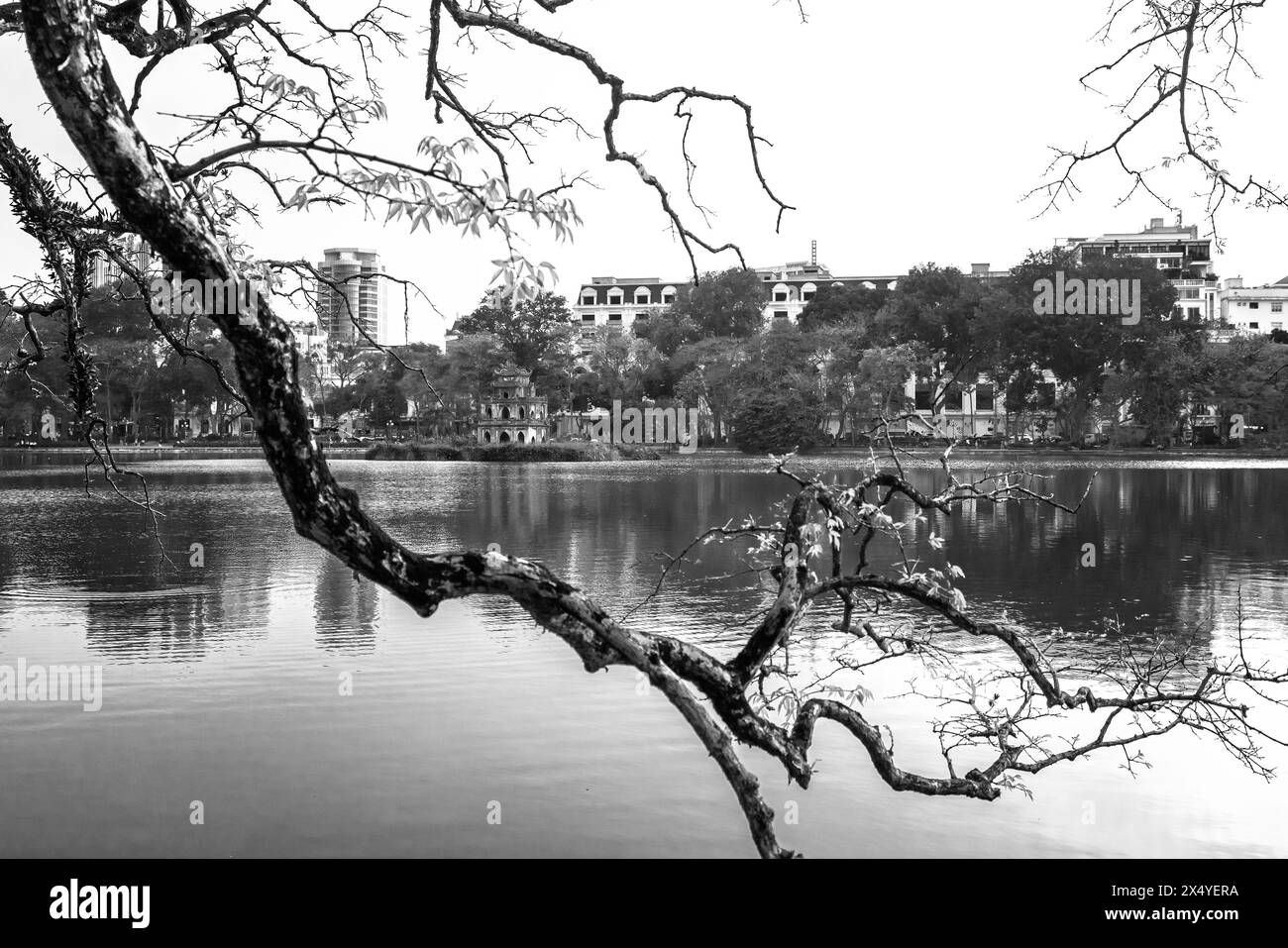 Branch of leaves with Turtle Tower on the foundation of Ho Guom Lake ...