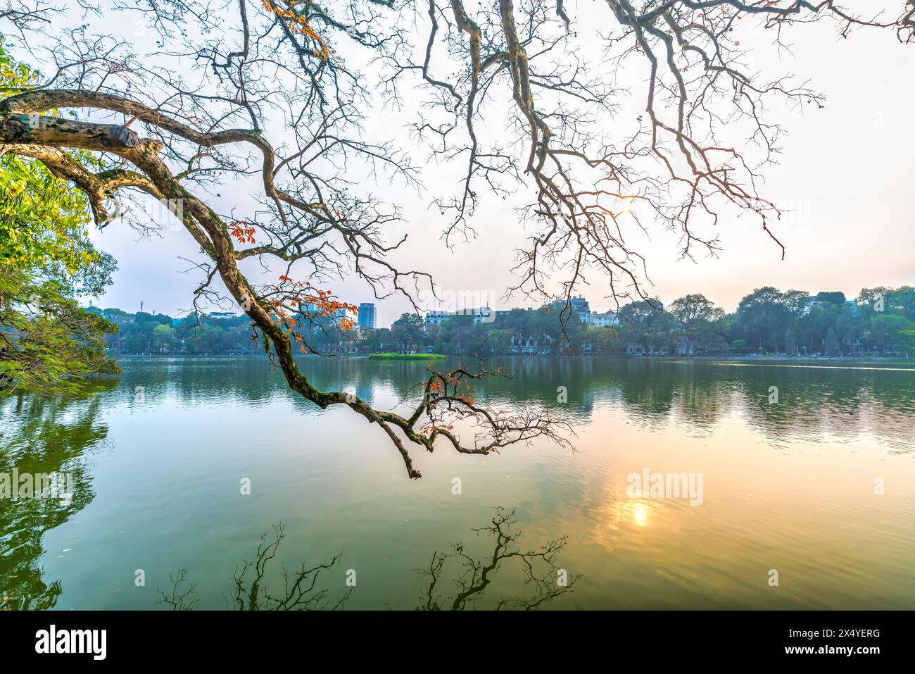 Branch of leaves with Turtle Tower on the foundation of Ho Guom Lake ...