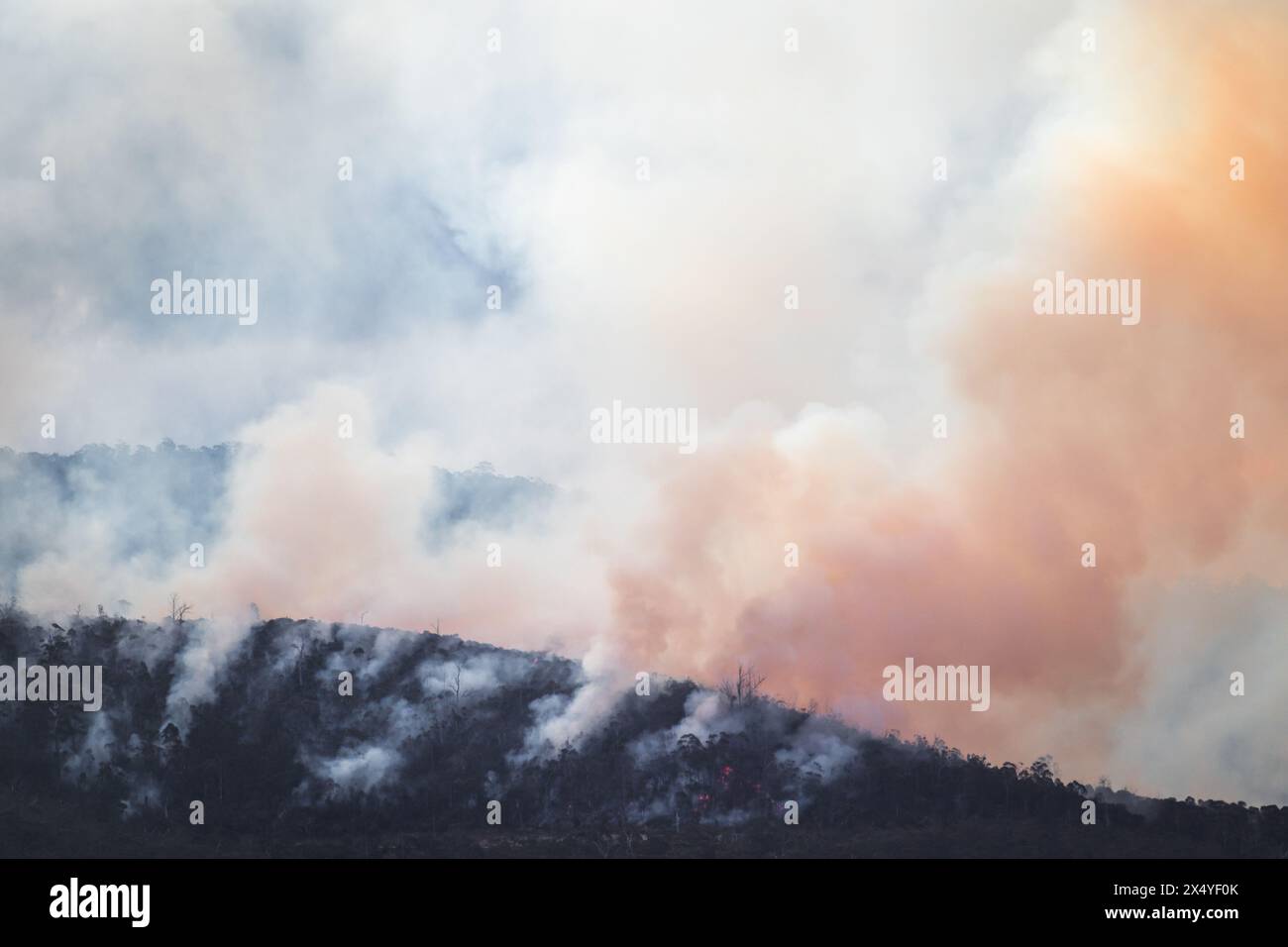 controlled burns creating thick smoke over the bush in Australia, made ...
