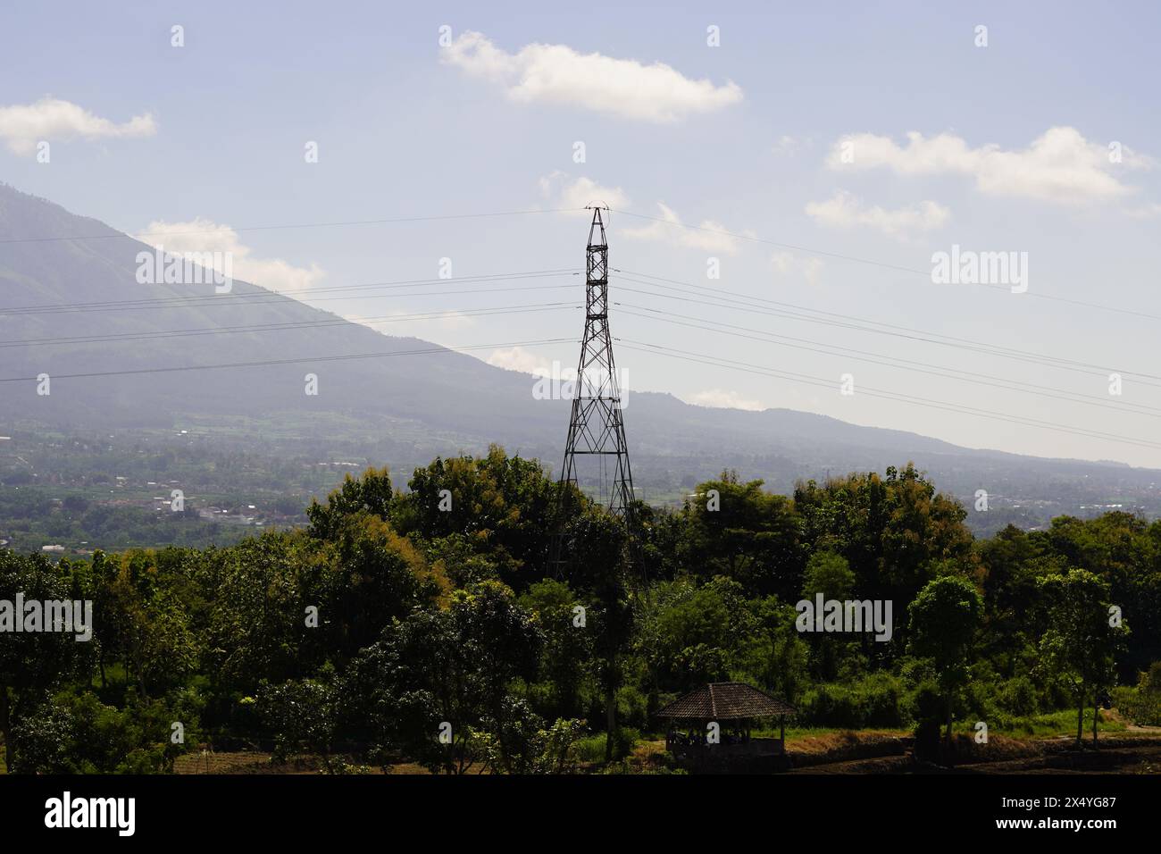 Signal booster tower in the middle of the trees with a mountain behind ...
