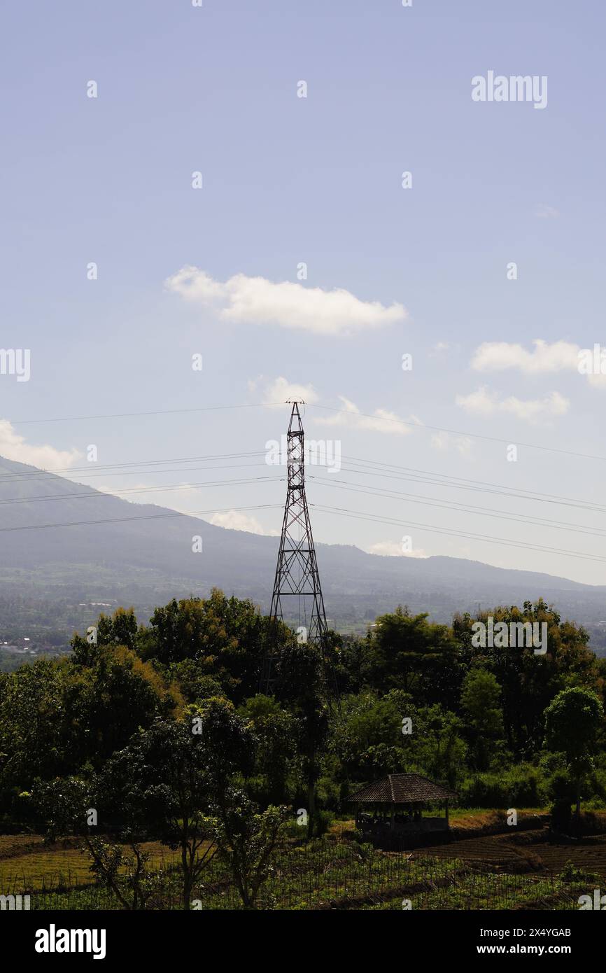 Signal booster tower in the middle of the trees with a mountain behind ...