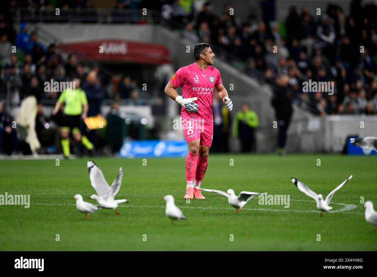 Jamie young football game hi-res stock photography and images - Alamy