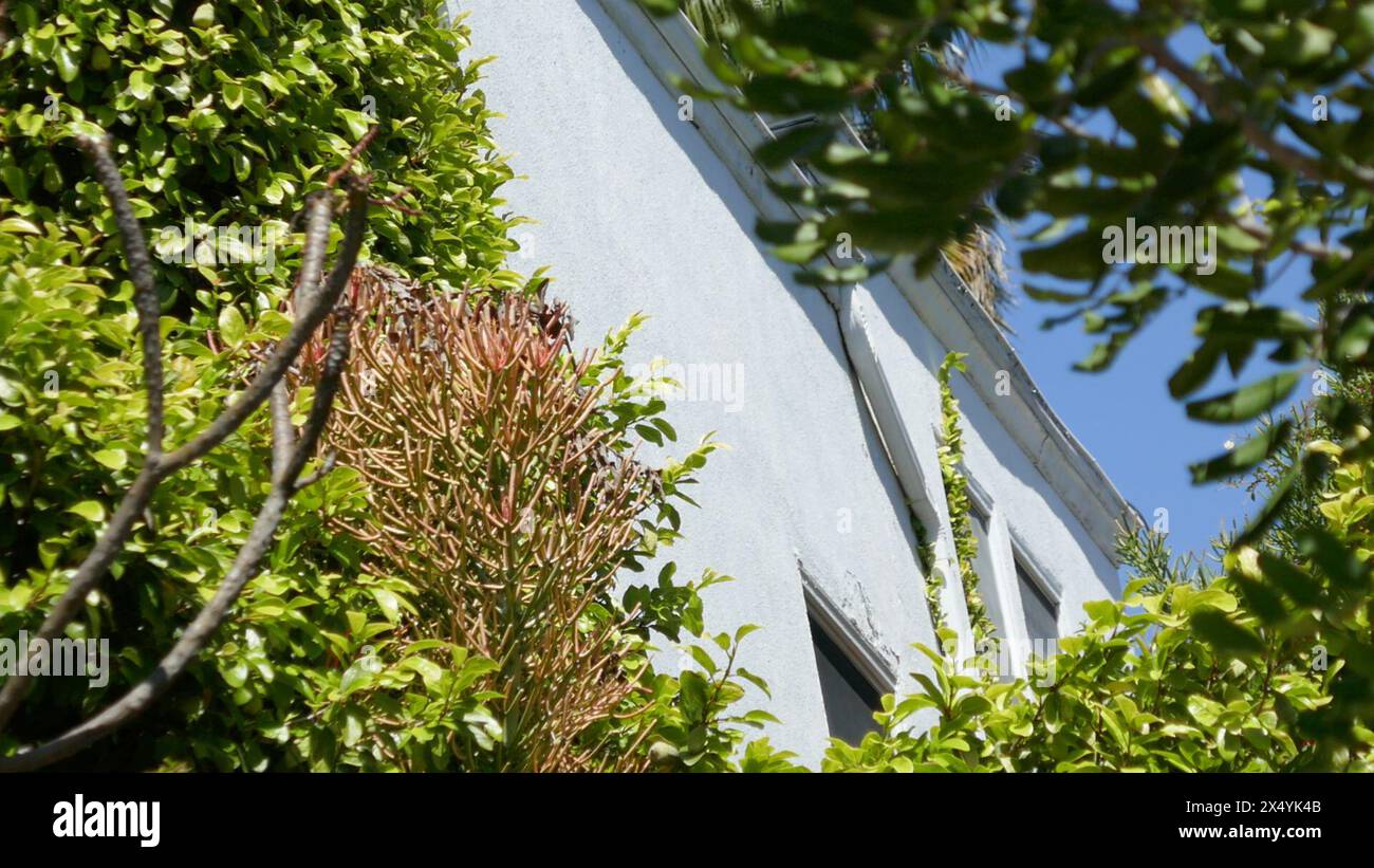 Los Angeles, California, USA 5th May 2024 Actress Tallulah Bankhead ...